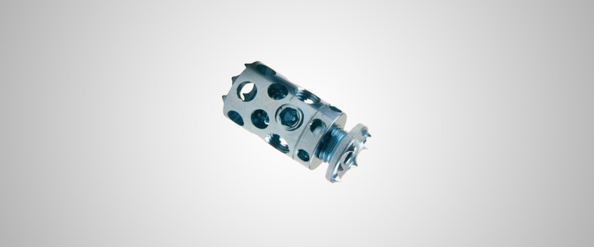 Expandable Cervical & Thoracic Cage For Vertebrectomy Made Of Titanium ...